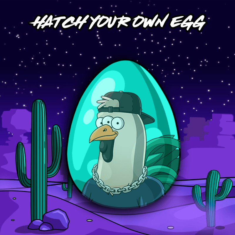 Rowdy Rooster Collective